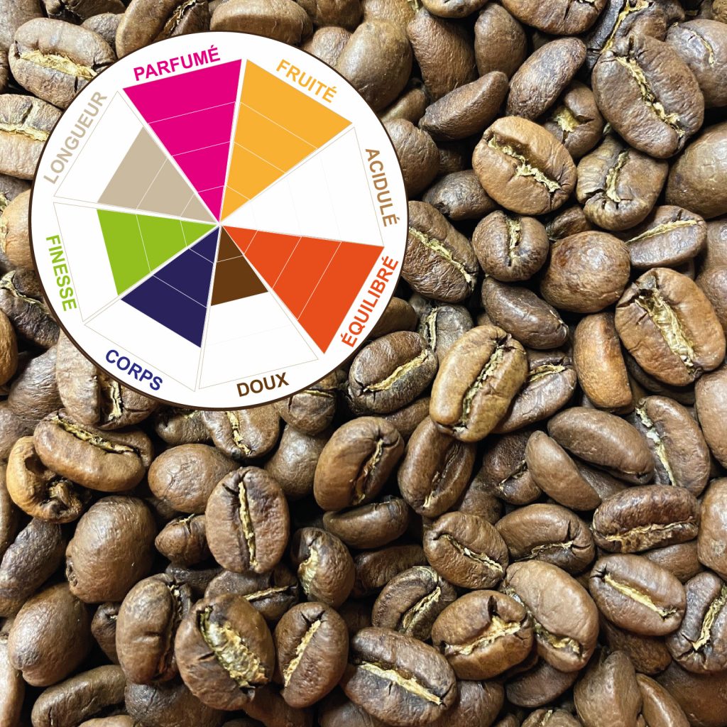 GUATEMALA "S.H.B" (Pur Arabica) Sachet 250g - Pressoir du Gâtinais