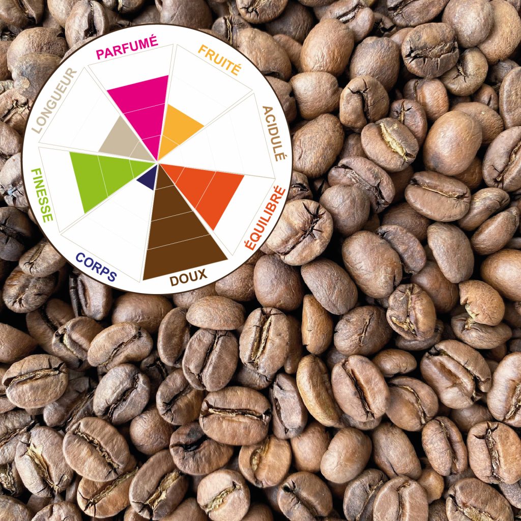 BRÉSIL "BAHIA LAVE" (Pur Arabica) Sachet 250g - Pressoir du Gâtinais